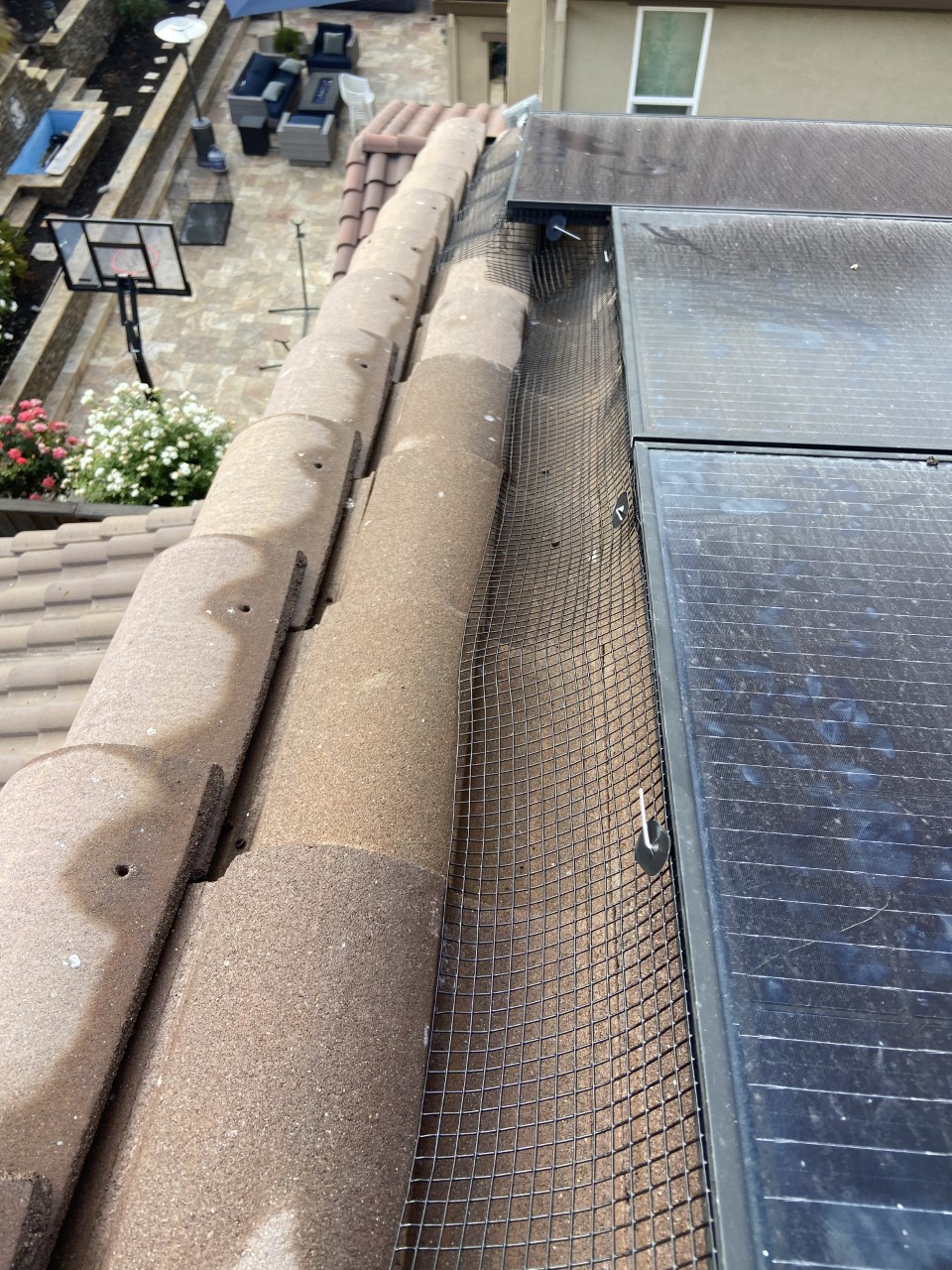 Bird Proofing Solar Panels Los Angeles | Protect Your Solar Panels